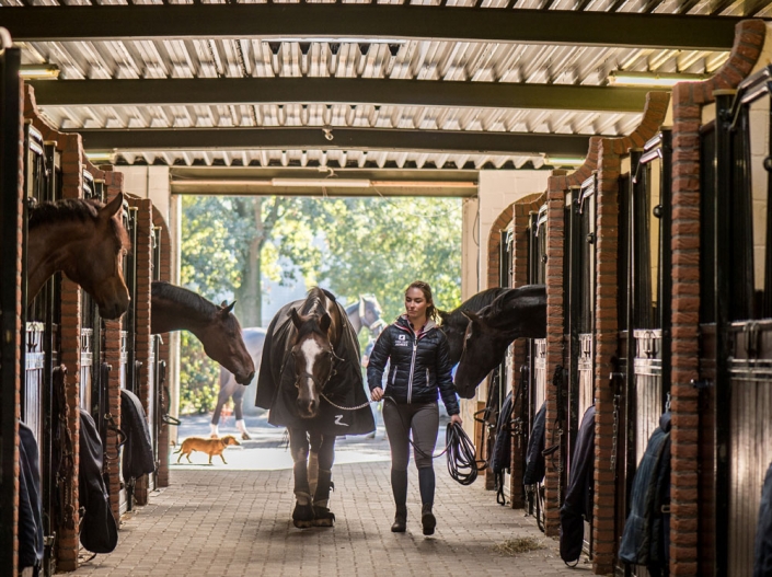 Facilities – Van Olst Horses