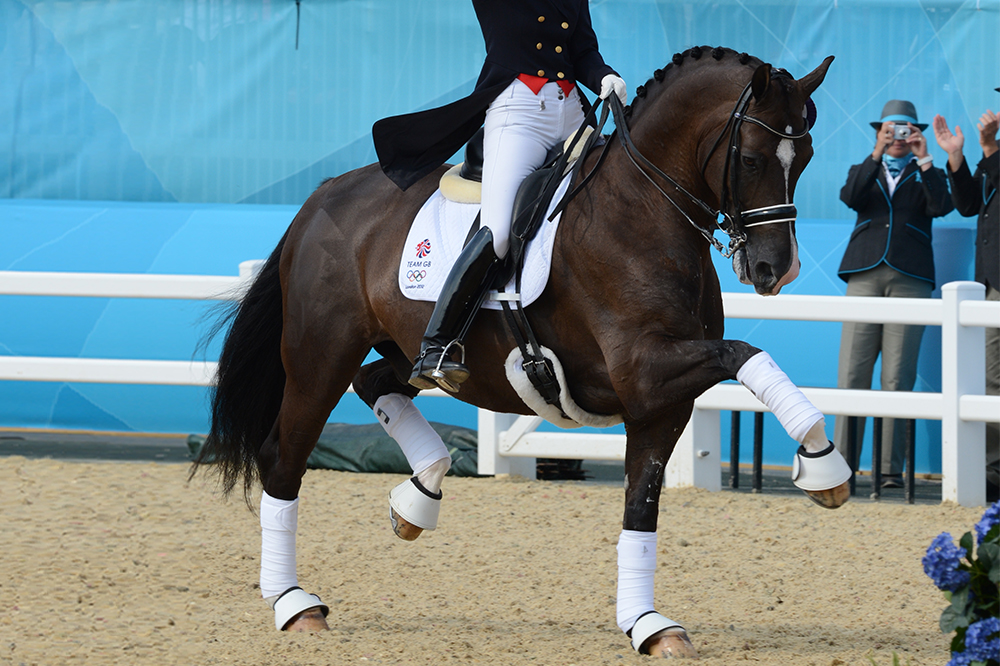 Valegro – Van Olst Horses
