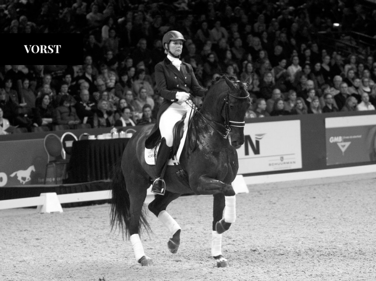 Anne van Olst – Van Olst Horses