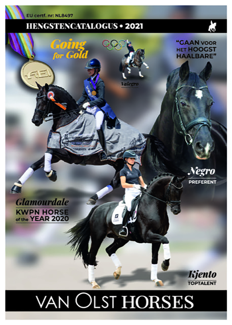 Hengstenbrochure – Van Olst Horses